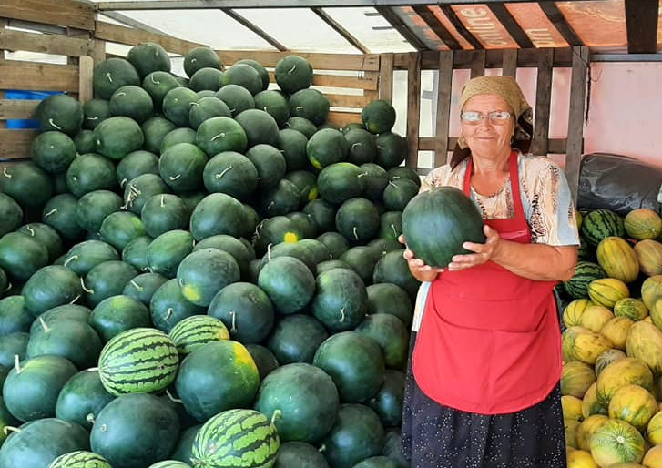 Pepeni de Dăbuleni - în piețele din Brașov / Anunțul Primăriei - MyTex.ro