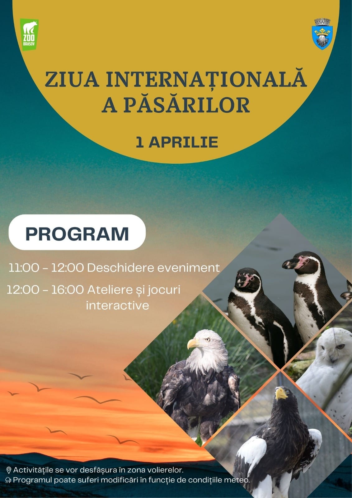 Ateliere, quiz-uri și jocuri interactive, la Zoo Brașov - MyTex.ro