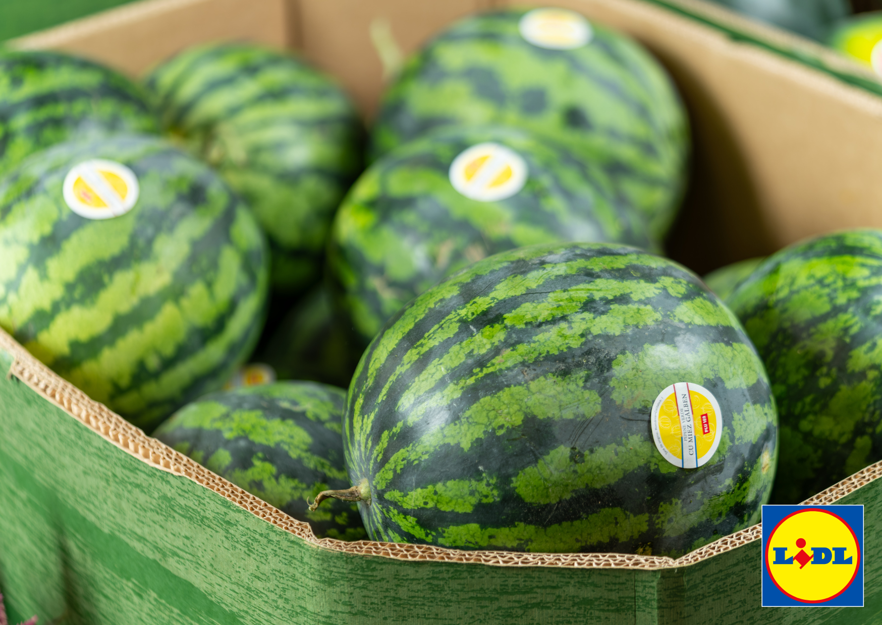 Ce soiuri de pepeni românești se găsesc la Lidl - MyTex.ro